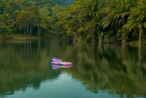 Day trip to Magoroto Forest - World Amazing People Adventure | African ...